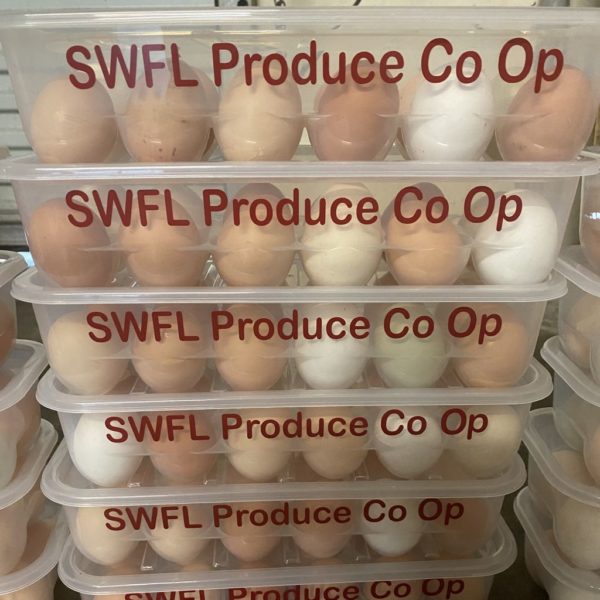 Chicken Eggs - SWFL Produce, Fort Myers, Cape Coral and Local Farmers ...