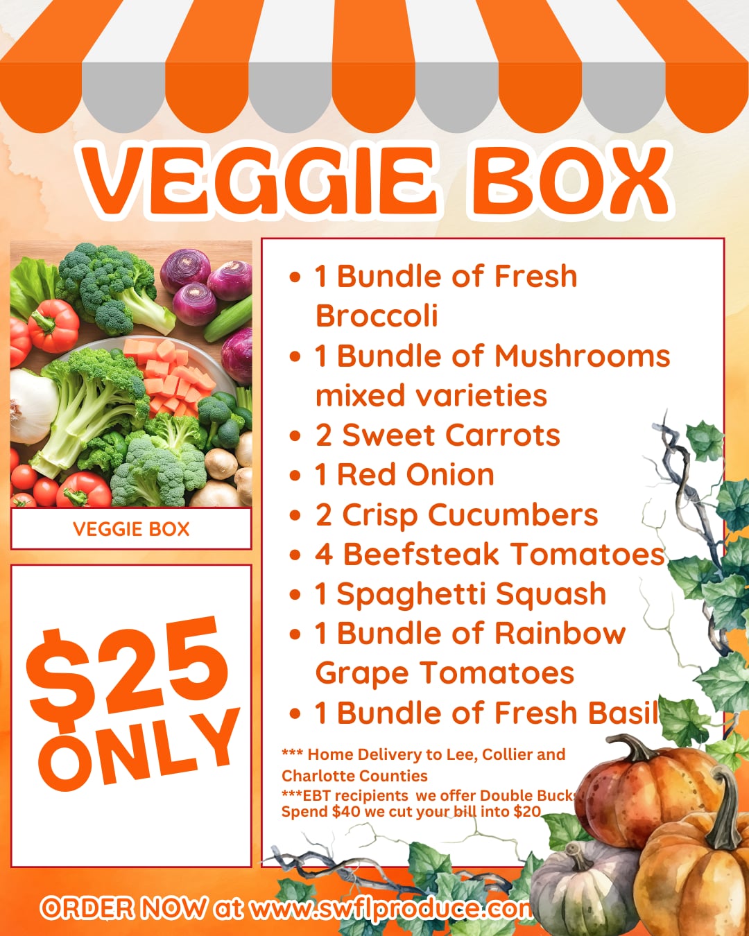 Bi-Monthly Vegetable Box Subscription - SWFL Produce, Fort Myers, Cape ...