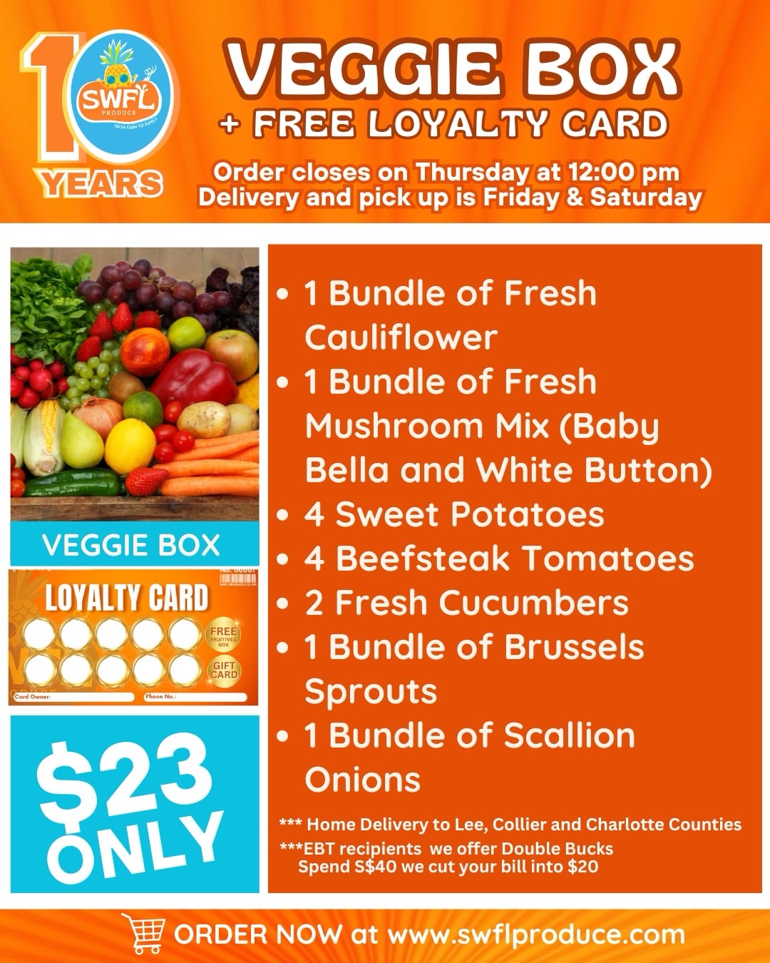 Bi-Monthly Vegetable Box Subscription - SWFL Produce, Fort Myers, Cape ...