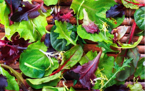 Spring Mix Case - SWFL Produce, Fort Myers, Cape Coral and Local ...