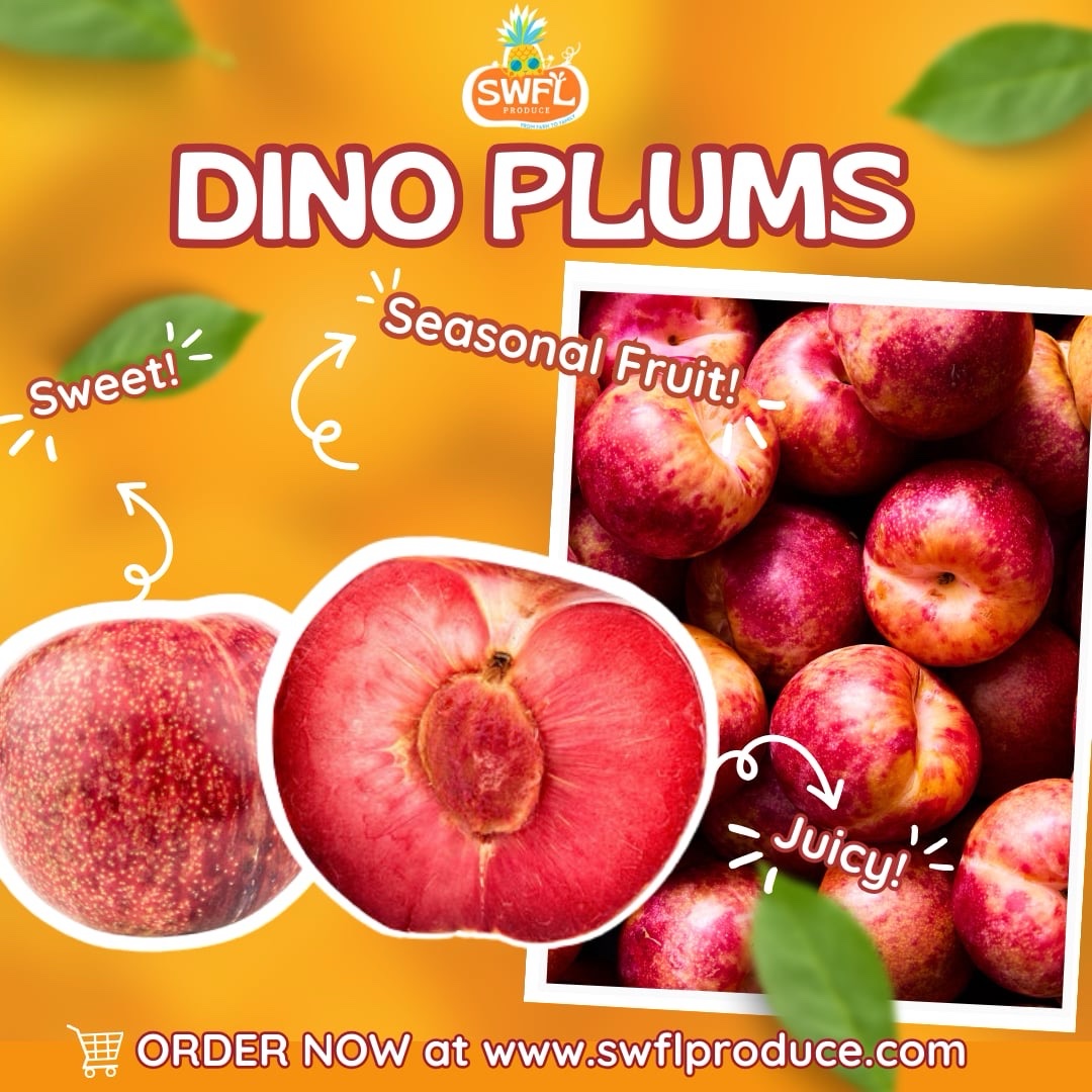 Uncategorized - SWFL Produce, Fort Myers, Cape Coral and Local Farmers ...