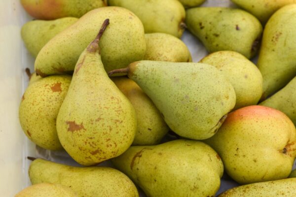 Green Pears Case - SWFL Produce, Fort Myers, Cape Coral and Local ...